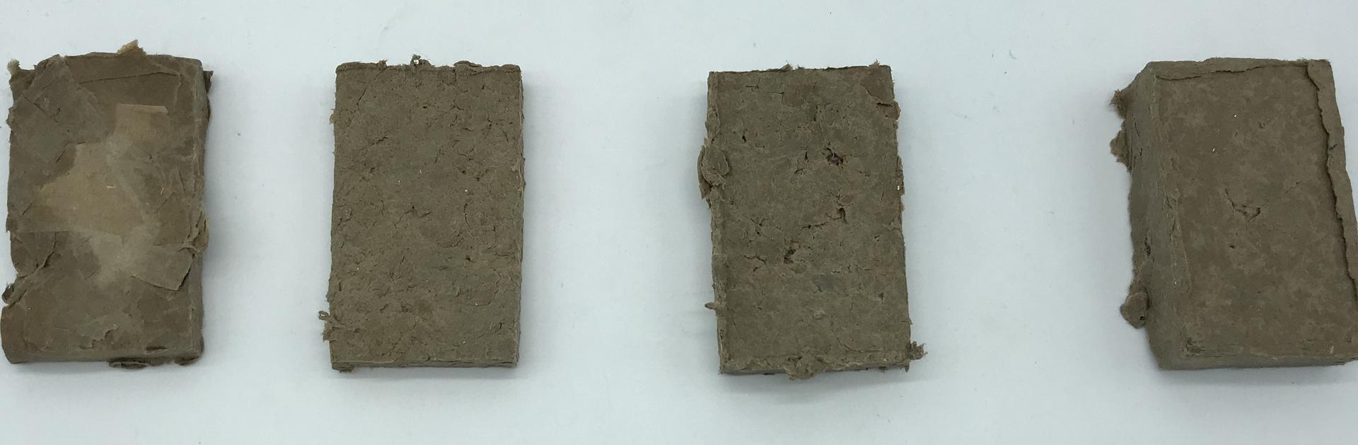 Institute for Future Technologies